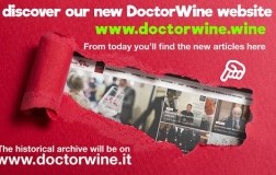 | DoctorWine